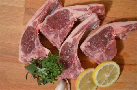 Lamb