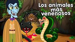 Canciones infantiles, música para niños - Doremila - YouTube