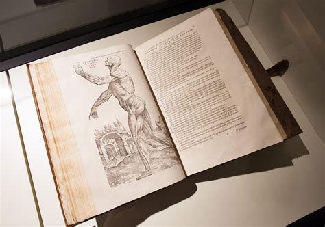 Andrea Vesalio – heritage.unipd.it