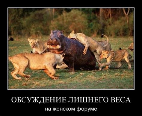 Приколы про женщин. 120 смешных картинок