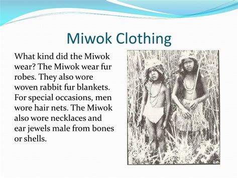 PPT - The Miwok A Central California Coast PowerPoint Presentation ...
