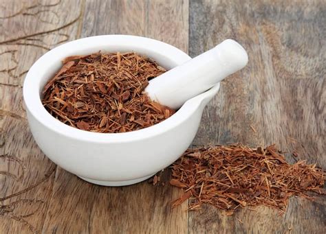 Catuaba: benefits, what it is and how to take it - ThedietMD