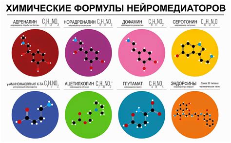 ХимИнфо: Нейромедиаторы