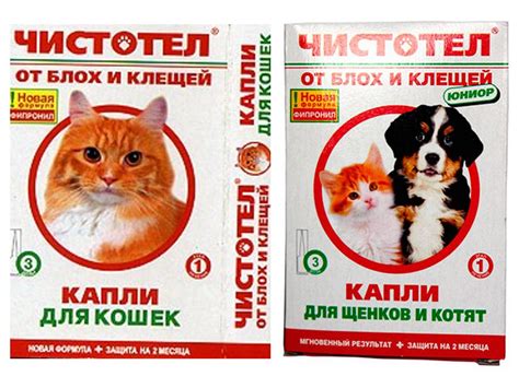 Чистотел от блох и клещей для кошек: инструкция по применению и аналоги