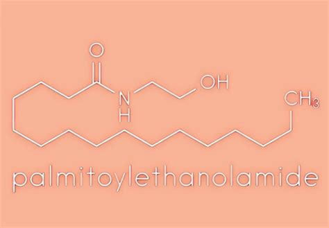 Applications and safety of Palmitoylethanolamide in the food industry ...