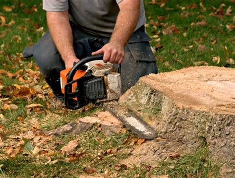 How to cut and remove a tree stump with a chainsaw