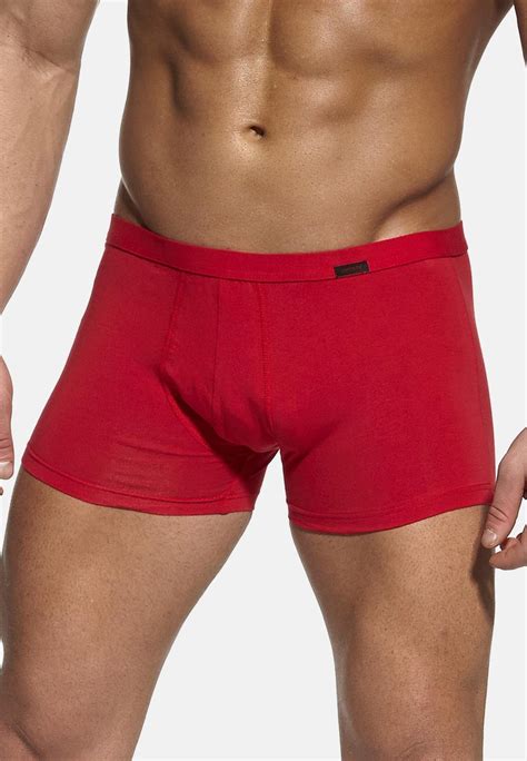 Cornette PERFECT AUTHENTIC MINI - Panties - red/rot - Zalando.at