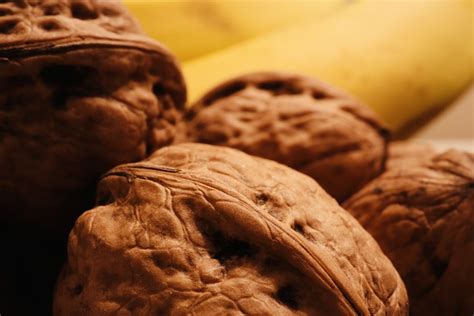 Walnut Nuts Close Up - Free photo on Pixabay - Pixabay