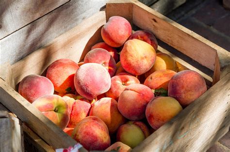 How to Peel a Peach, Perfect for Summer Desserts - Make and Takes