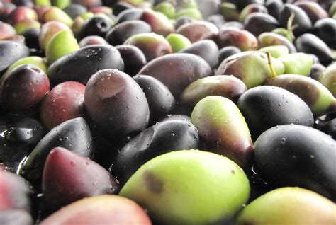 Olives