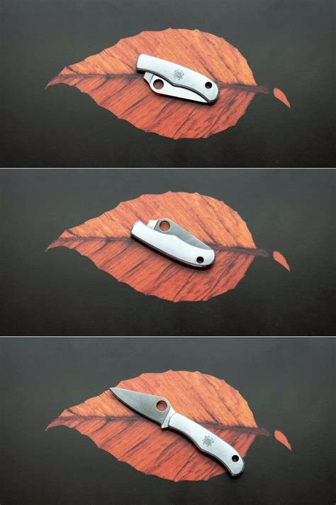 Spyderco Bug Review: Pros and Cons After 2+ Years - The Modest Man