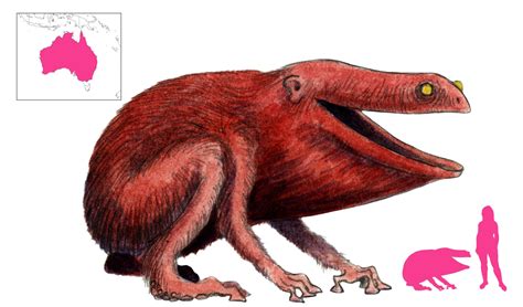 A Book of Creatures | A Complete Guide to Entities of Myth, Legend, and ...