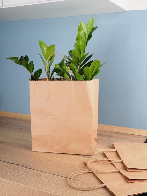 47,000+ Plant Box Pictures