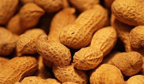 Peanut price per kg in Pakistan - Arad Branding