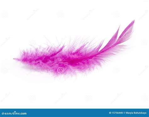 Roze Veer stock foto. Afbeelding bestaande uit rookwolk - 15756440