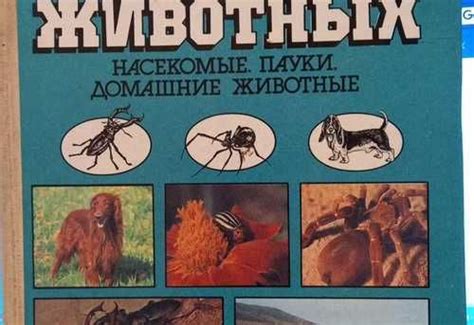 И.Акимушкин Мир животных | Festima.Ru - Мониторинг объявлений