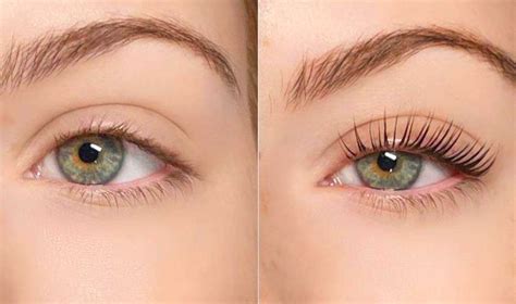 Lashstudio - ресницы с красивым изгибом без наращивания