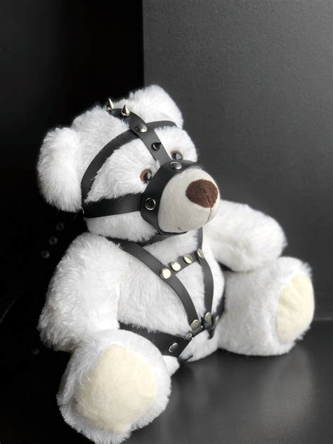 Kinky Fetish Plush Teddy Bear BDSM Gifts DDLG Gift | Etsy