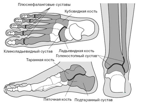 Эффективная мазь и другие препараты от боли в стопе