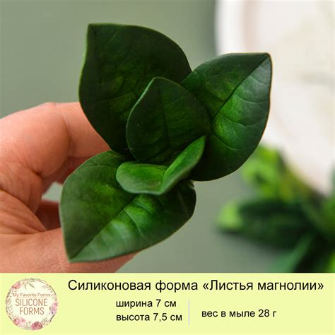 Купить Форма "Листья Магнолии" в Железнодорожном с доставкой по России