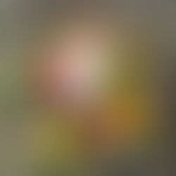 Was ist INCI?