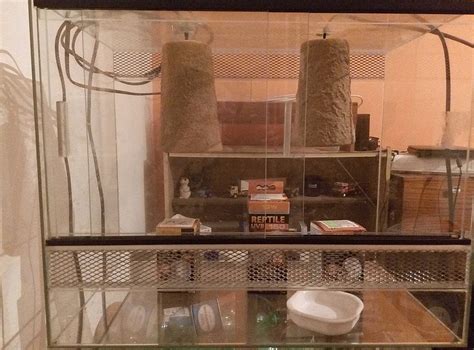 Terárium 50x40x30 - Chrudim I (Chrudim), Prodám | ChovZvířat.cz