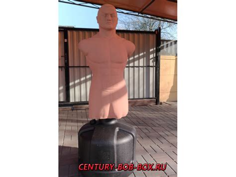 Century BOB-BOX XL - цены, отзывы, характеристики от официального ...