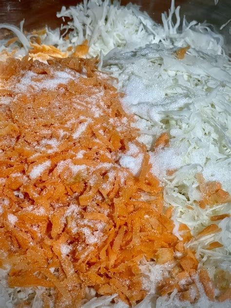 Капуста Провансаль. Квашеная | Пикабу