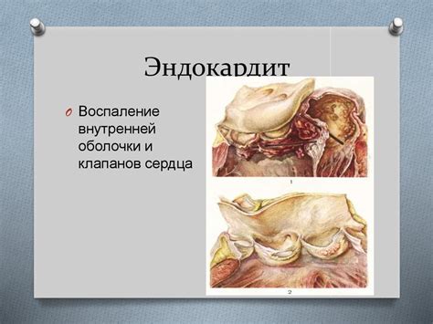 Внутренние незаразные болезни животных - презентация онлайн