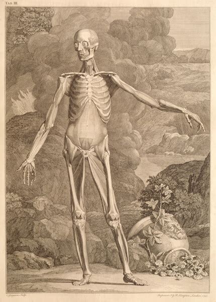 Dream Anatomy: A National Library of Medicine Exhibition