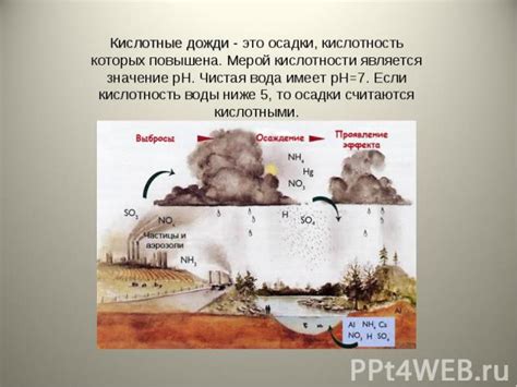 Презентация на тему: Кислотные дожди