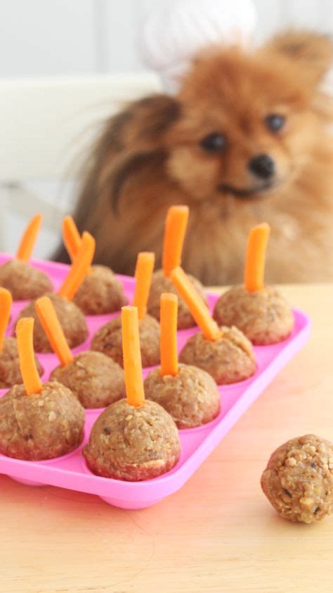 Как сделать прикольную вкусняшку для собаки для дрессировки: рецепты ...