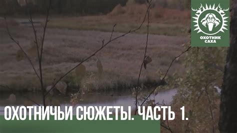 Охотничьи сюжеты. Часть 1. - YouTube