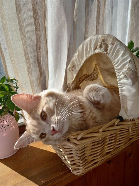 Мартин 2 — Postimages