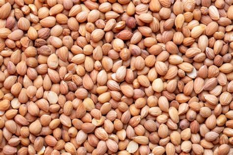 Premium Photo | Mahlep, mahlab or mahaleb seeds isolated on white ...