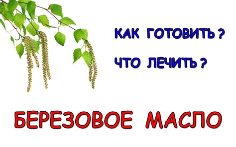 Березовое масло. Как готовить березовое масло. Что лечить. Рецепты ...
