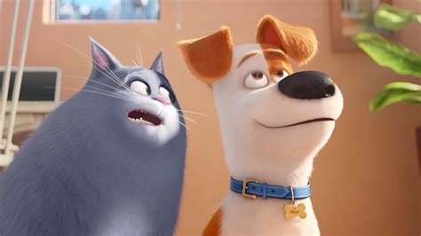The Secret Life Of Pets - Workshop Creative | Workshop Creative