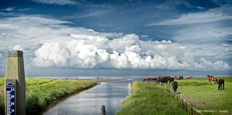 Slenk bij Zwarte Haan | Landschappen, Foto's, Tempel