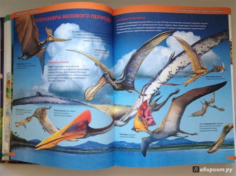 Книга: "Самая большая детская энциклопедия" - Юлия Феданова. Купить ...