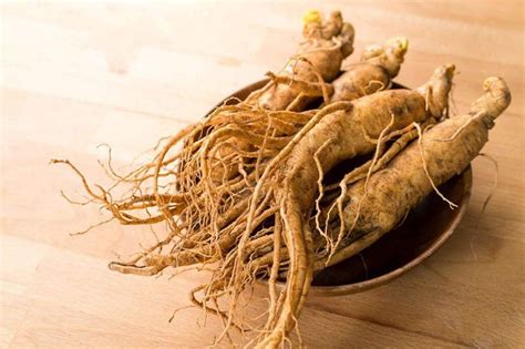 Saponin: Công dụng, liều dùng và lưu ý