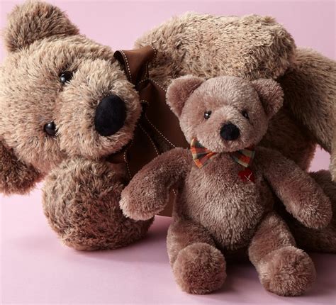 Teddy Bear – 조안테디베어