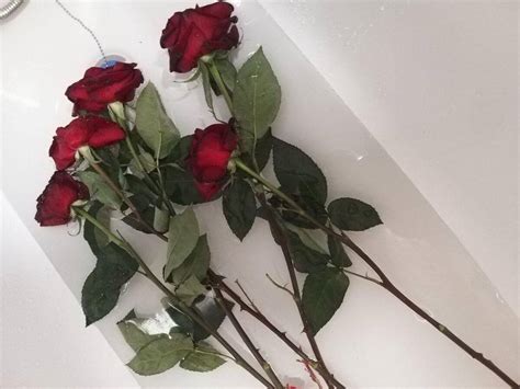 Что сделать, чтобы розы дольше стояли?