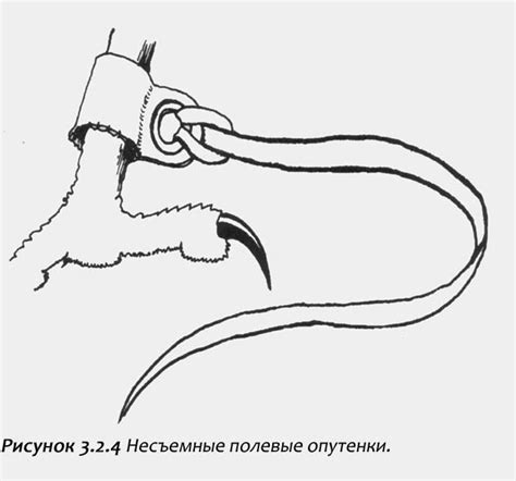 Ногавки и опутенки
