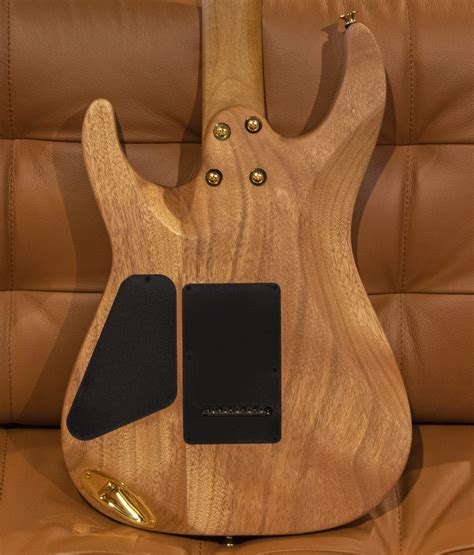 Charvel Pro-Mod DK22 SSS 2PT CM Mahogany with Walnut Electric Guitar ...