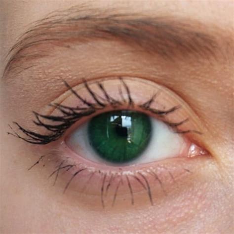 Купить оттеночные зелёные линзы для Светлых глаз Marquise Solo green ...