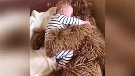 Самая лучшая подушка