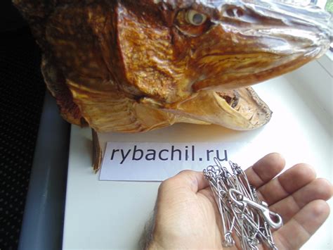 Кукан для рыбы своими руками. | Рыбачил.ru