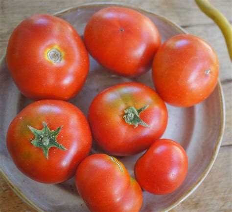 Tomat Betalux