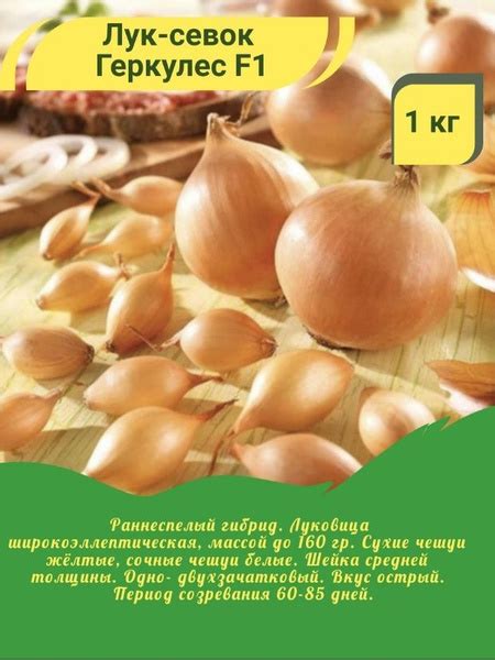 Лук Лук-севок - купить по выгодным ценам в интернет-магазине OZON ...