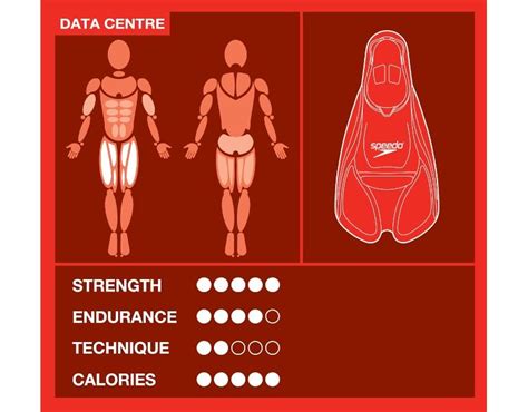 Ласты для плавания Speedo Biofuse Training Fin: купить по цене 8990 руб ...